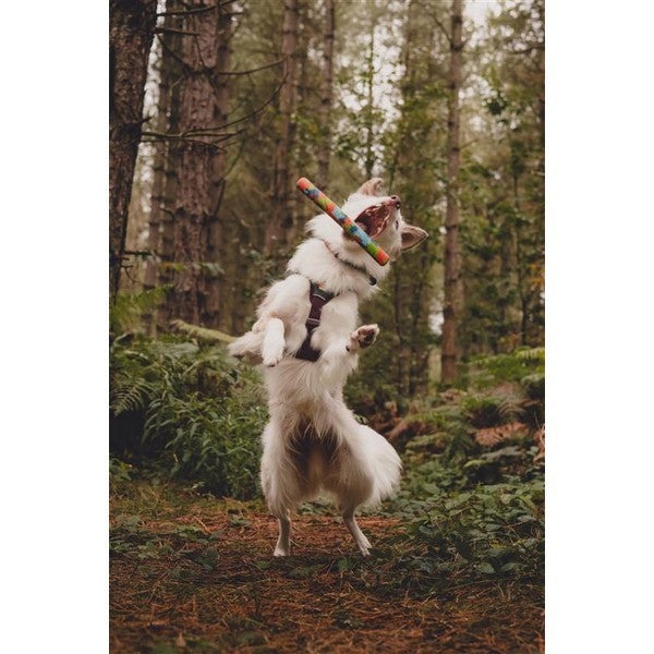 Chuckit! NFD ECO Fetch Day Ultra Stick – Wildwood Pets