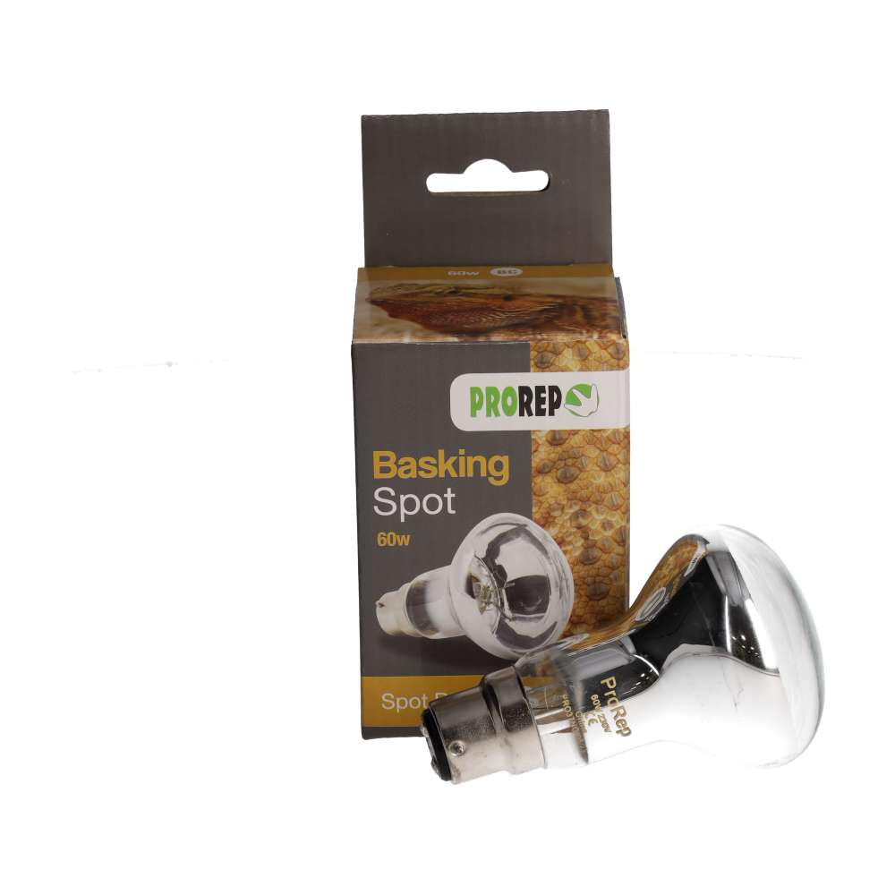 PR Basking Spot Lamp 60w BC – Wildwood Pets
