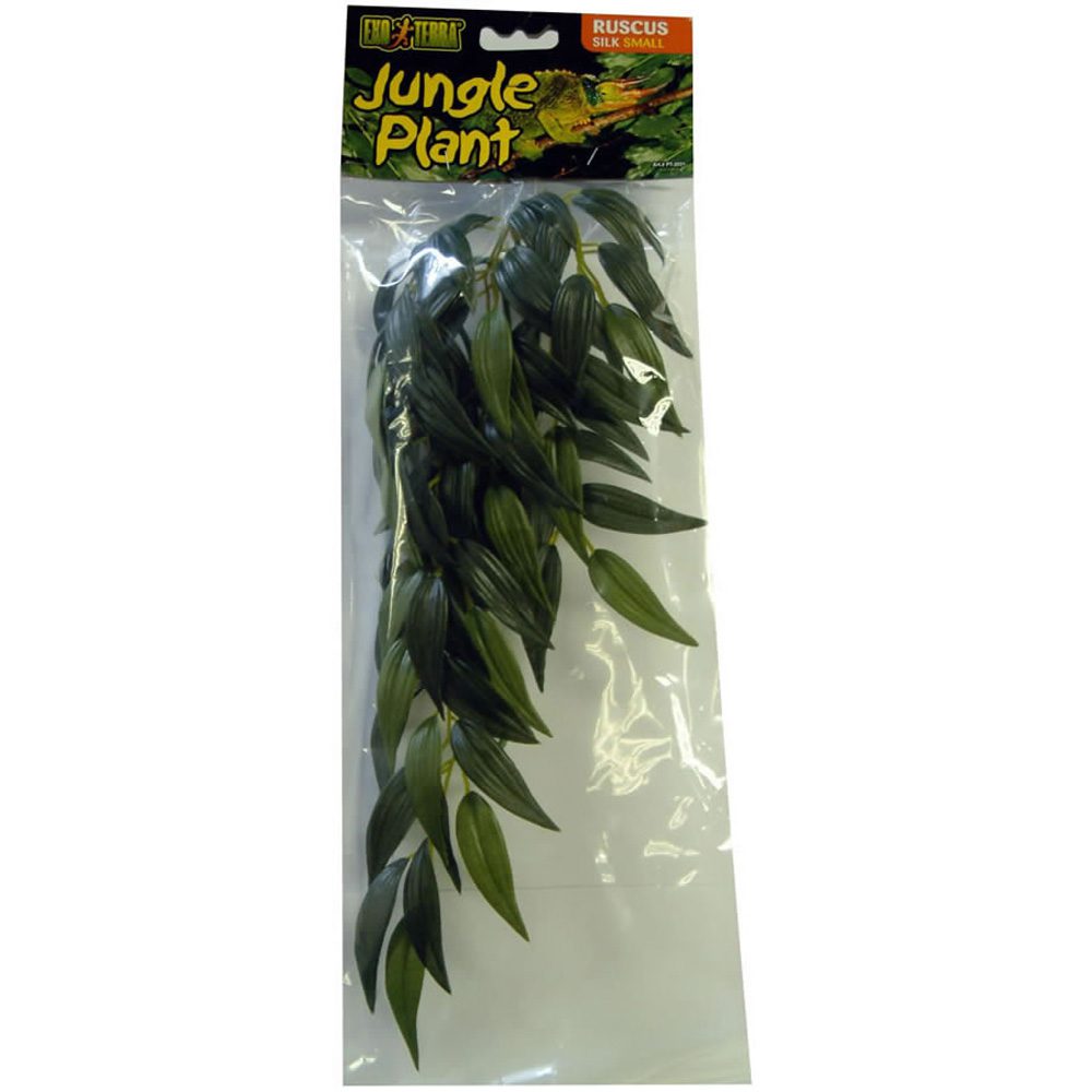 Exo Terra Jungle Plant Ruscus Silk – Wildwood Pets