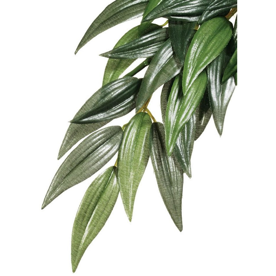 Exo Terra Jungle Plant Ruscus Silk – Wildwood Pets
