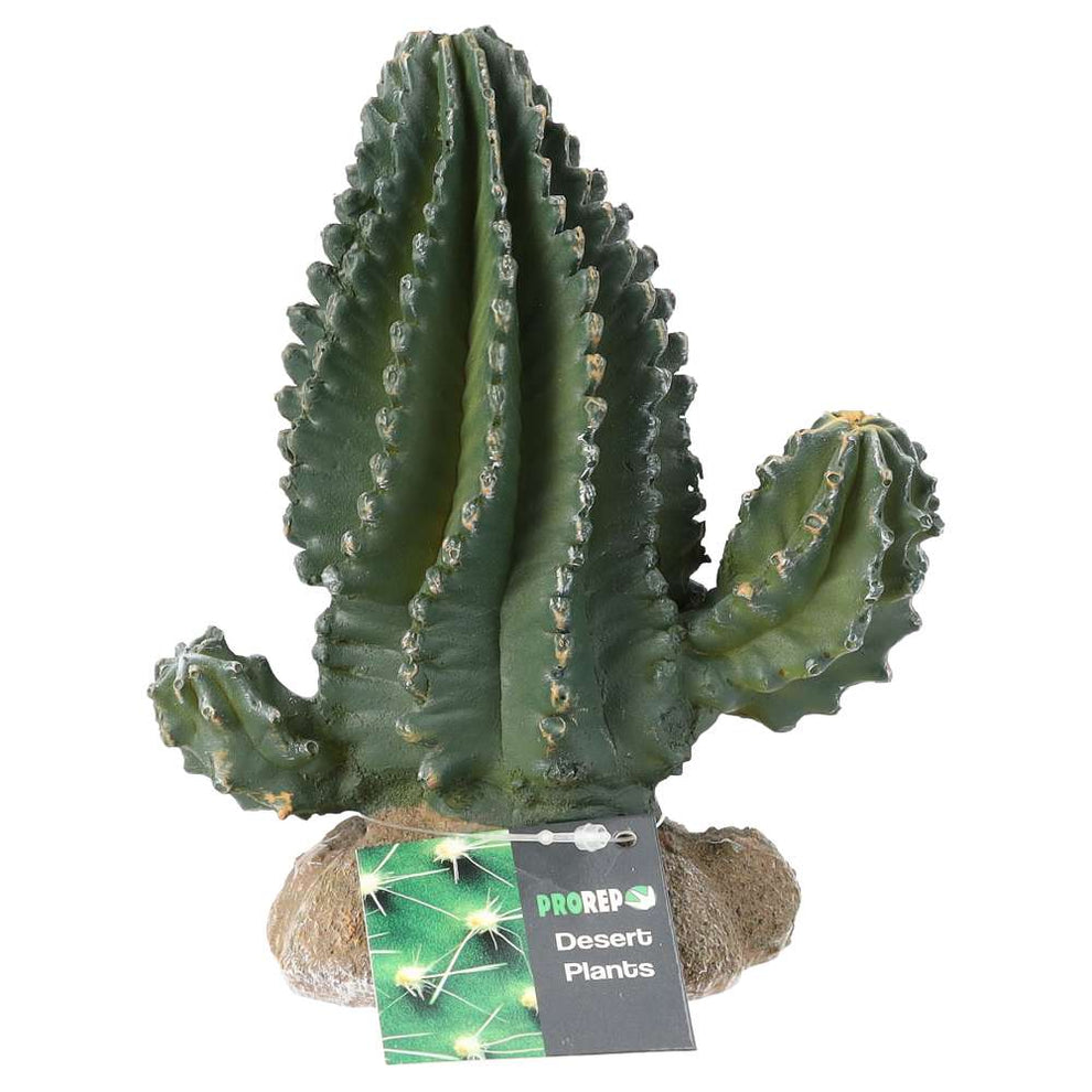 PR Cactus 13x7.5x15cm – Wildwood Pets